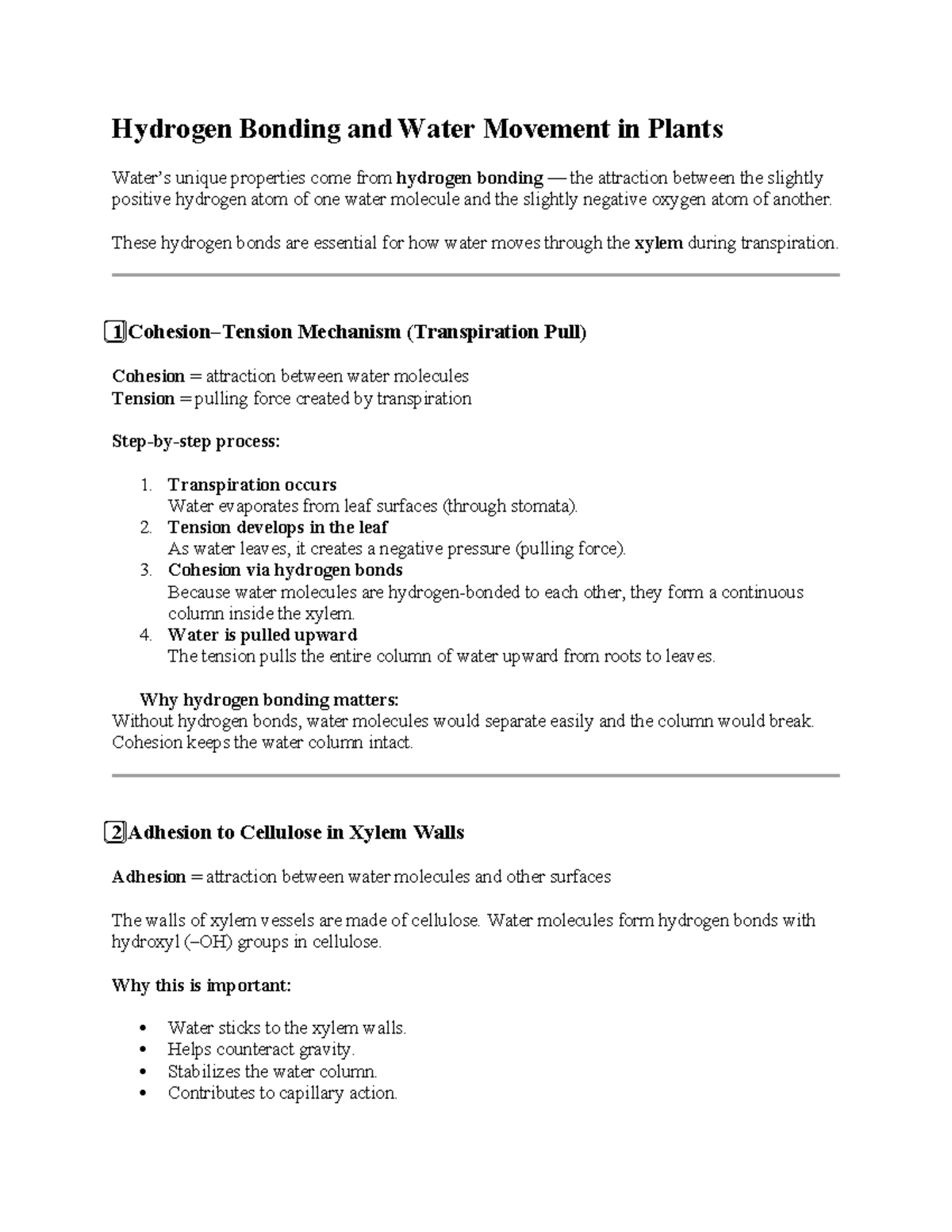 Hydrogen Bonding & Water Movement in Plants: Grade 11 Study Notes - Studocu