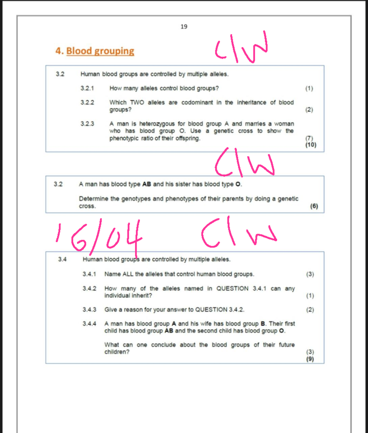 Blood Groups Study Guide 2025: Genetics and Inheritance Patterns - Studocu