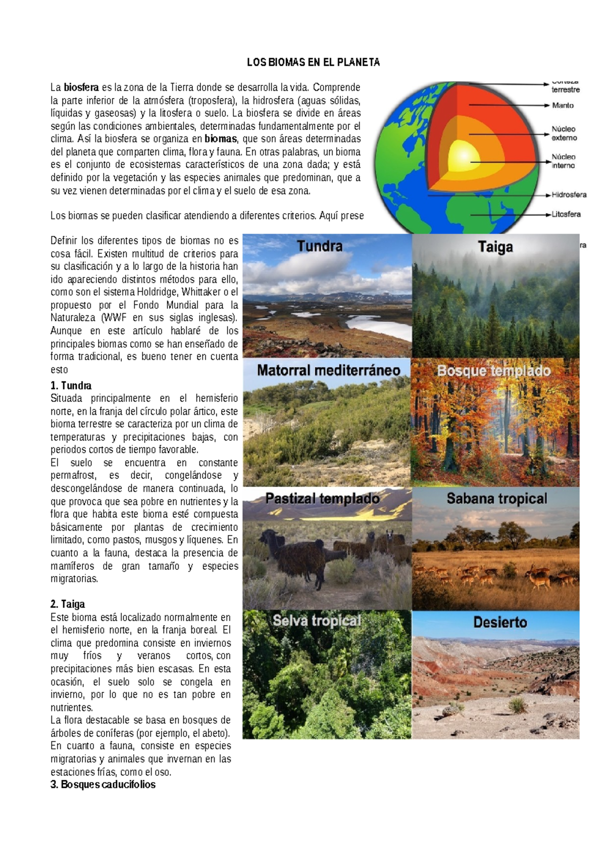Biomas - LOS BIOMAS EN EL PLANETA La biosfera es la zona de la Tierra ...