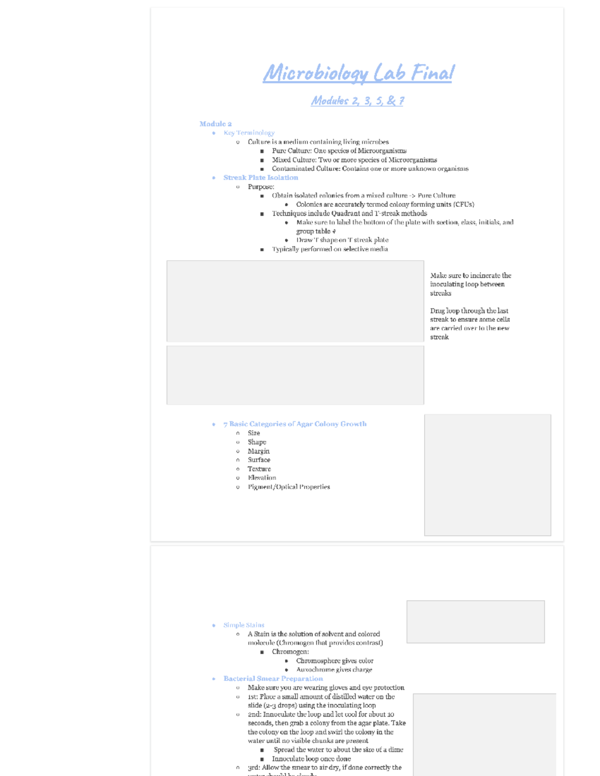Microbiology Lab Final Exam Study Guide for Modules 2, 3, 5, 7 - Studocu