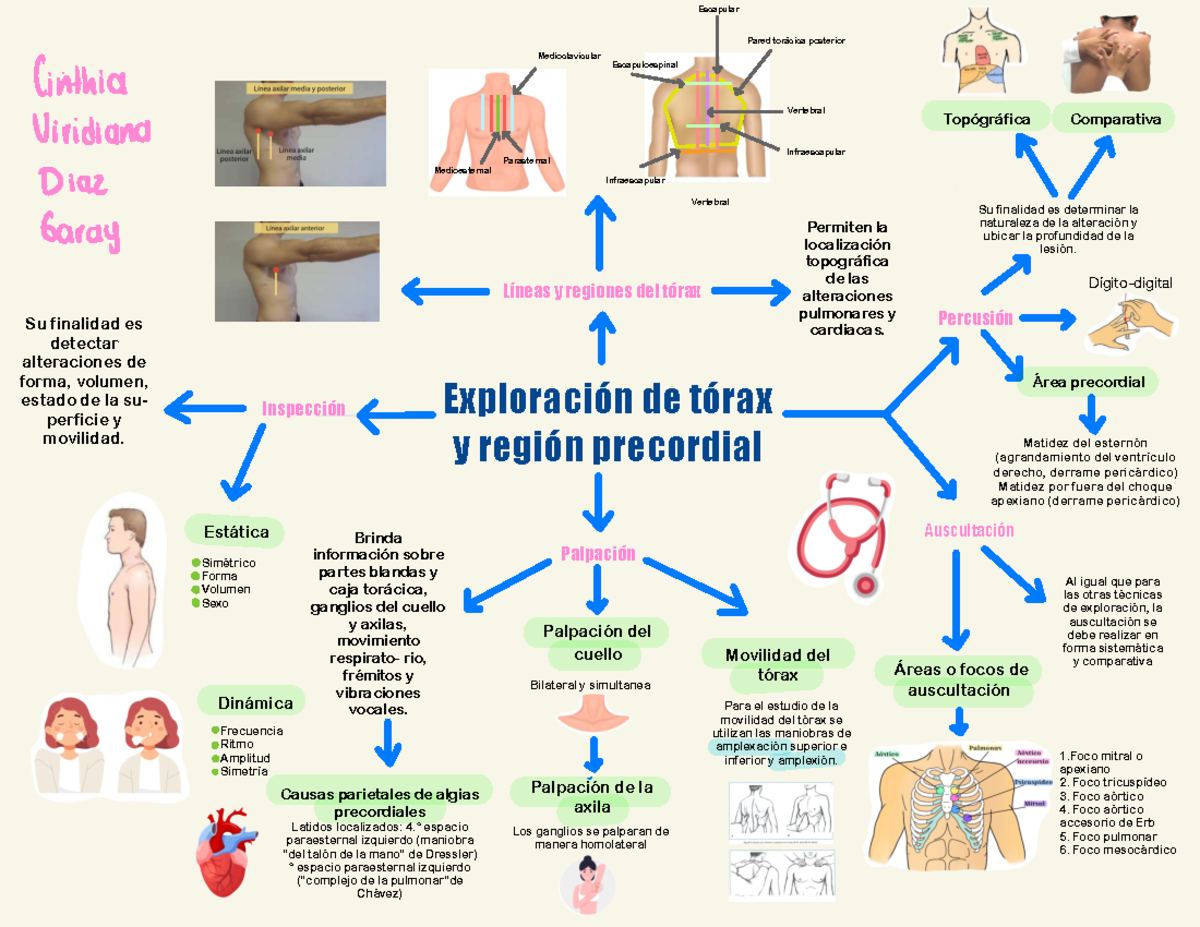Exploración del Tórax y Región Precordial en Diagnóstico Clínico - Studocu