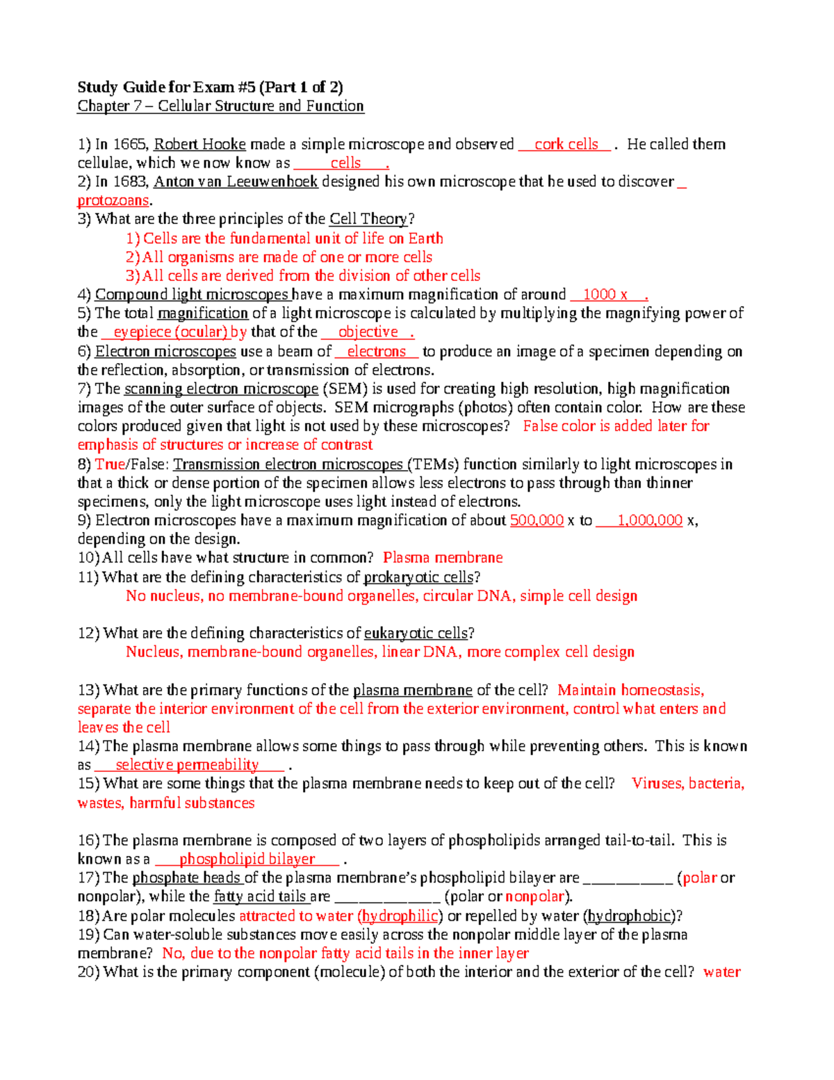 Cell Biology Study Guide for Exam (Part 1 of 2) - Chapter 7 - Studocu