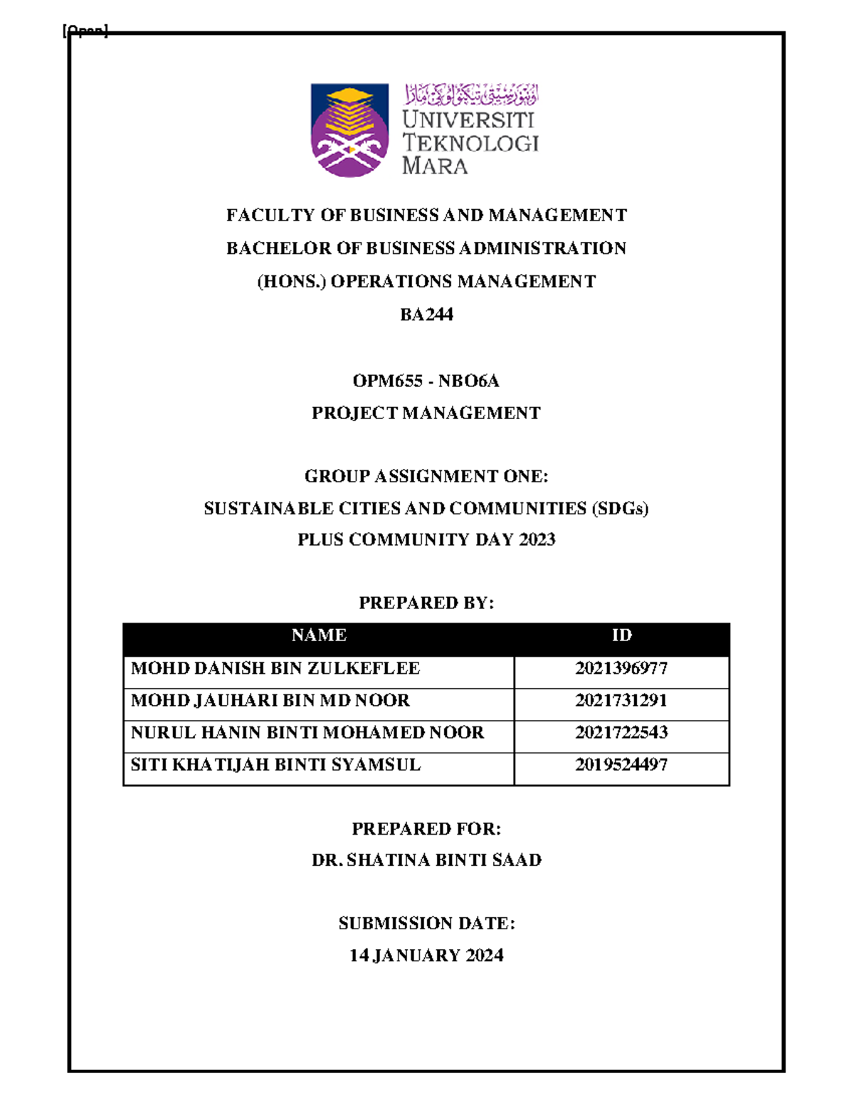 OPM655 - Group Assignment 1: PLUS Sustainable Cities & Communities ...