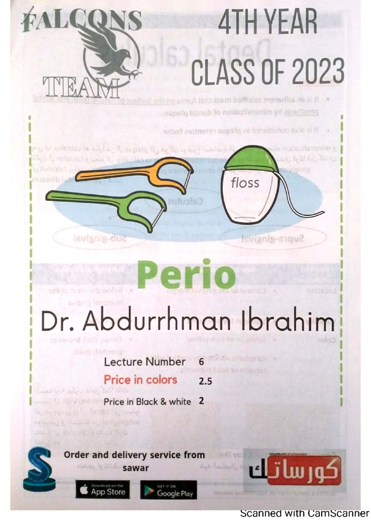 Lec 6: Periodontal Structures in Dental Anatomy - Studocu