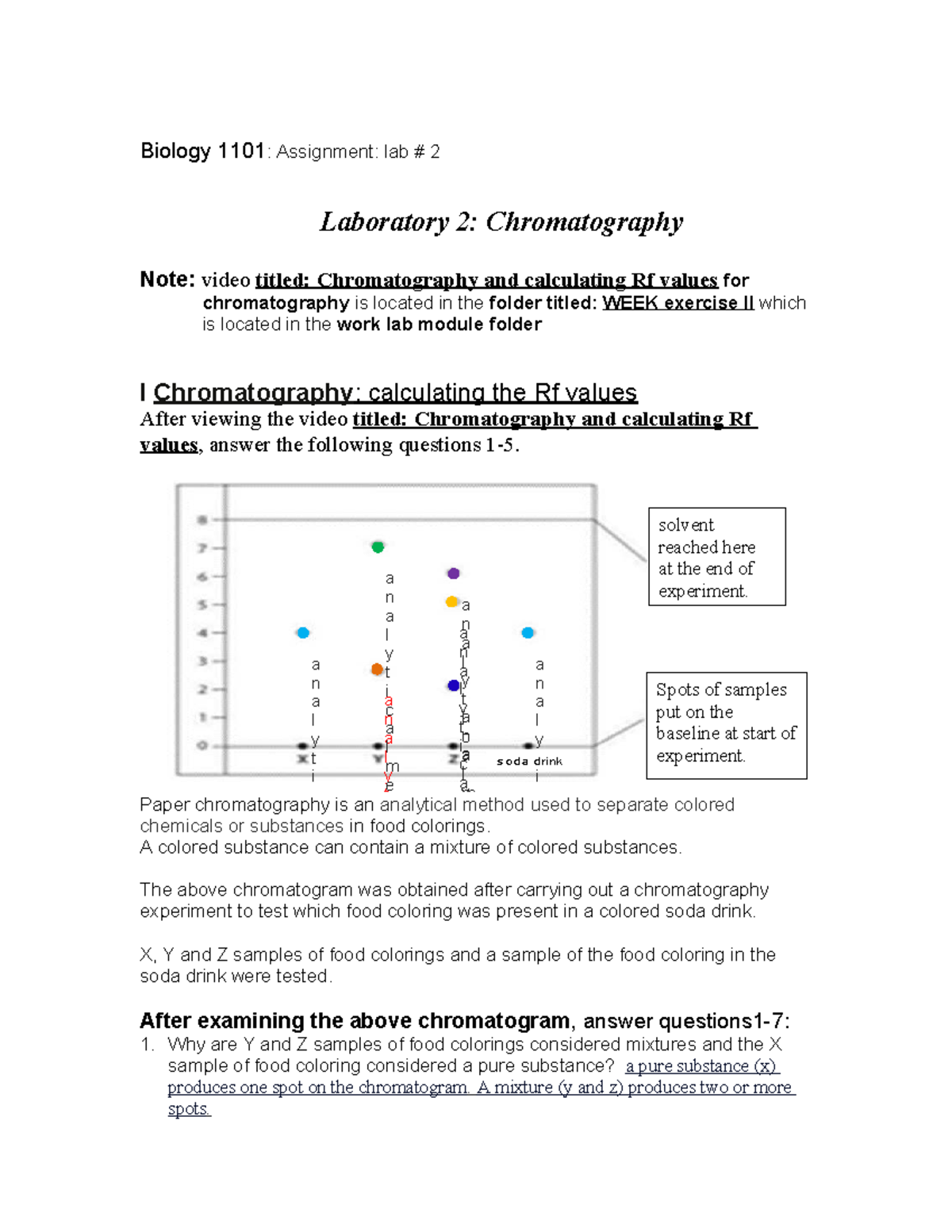 Biology 1101: Lab 2 - Chromatography & Rf Value Analysis - Studocu