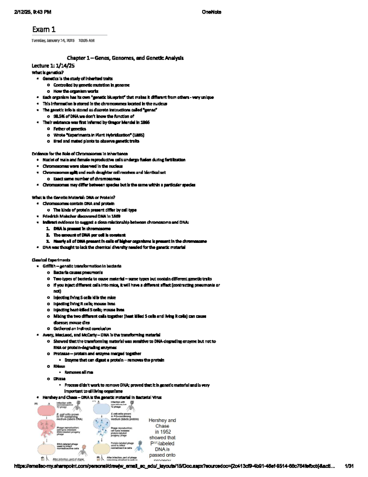 BIO 303 Lecture Notes: Genetics, DNA Structure, and Protein Synthesis ...