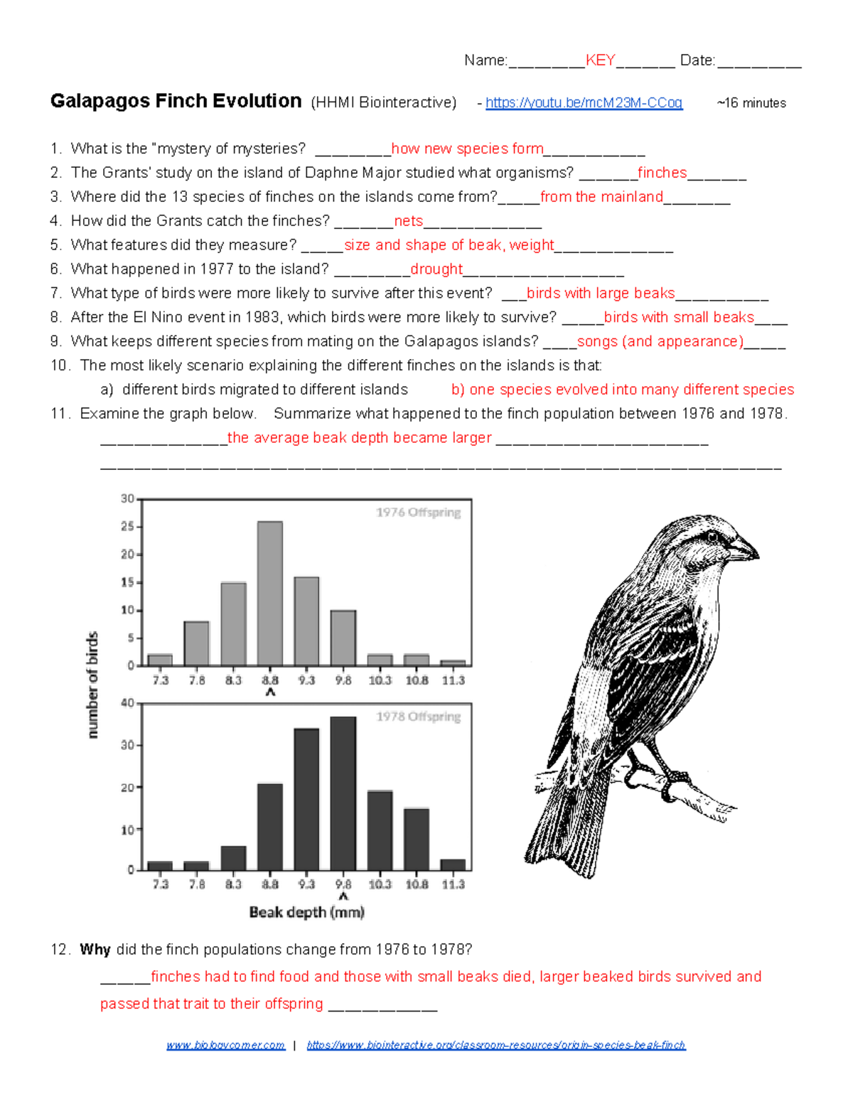 Galapagos Finch Evolution Study Guide (HHMI Biointeractive) - Studocu