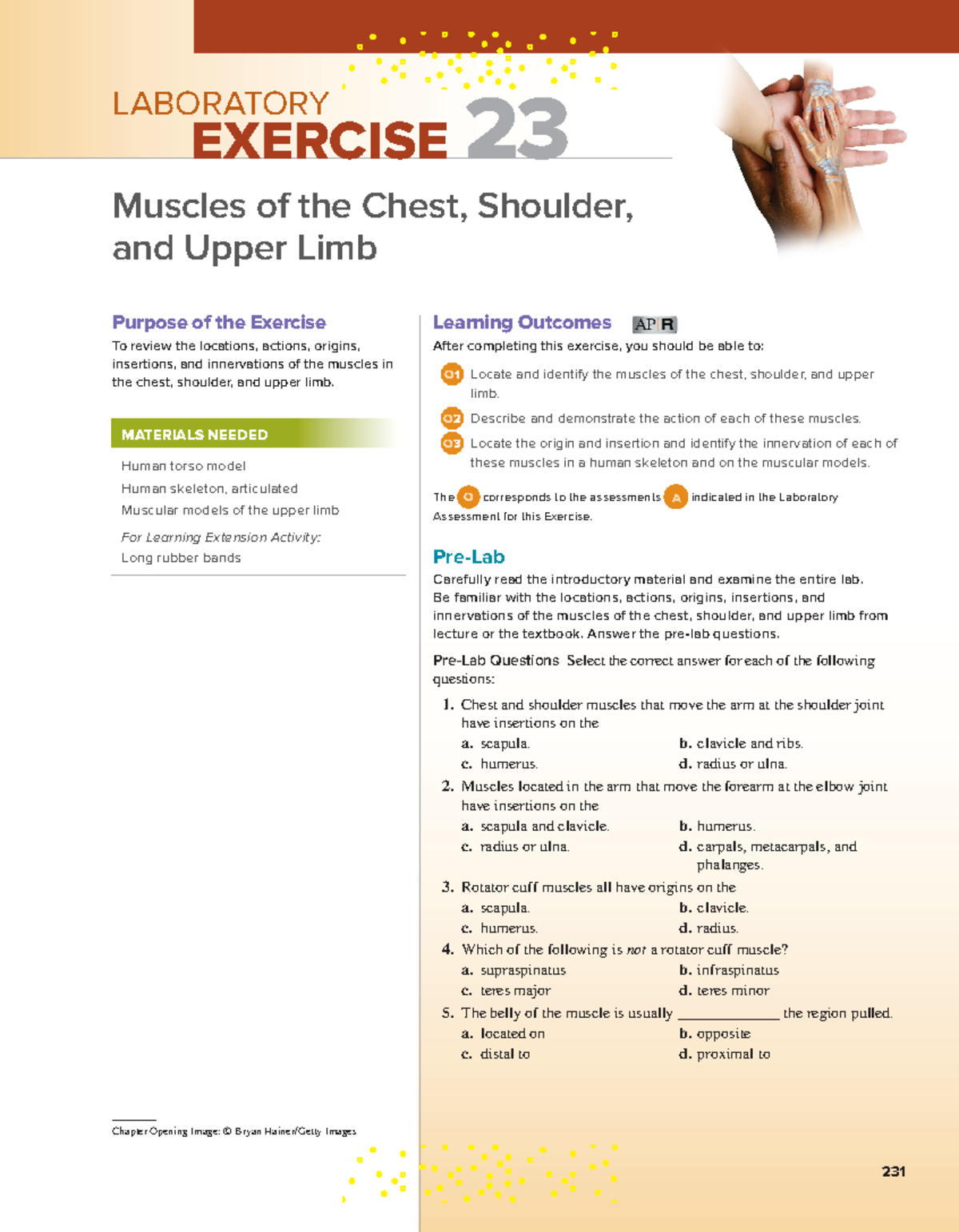 Muscles of chest, shoulder, and upper limb - LABORATORY EXERCISE 23 Muscles of the Chest ...