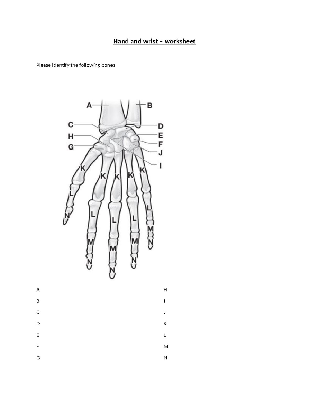 Hand and Wrist - Anatomy Worksheet (Identification & Labeling) - Studocu