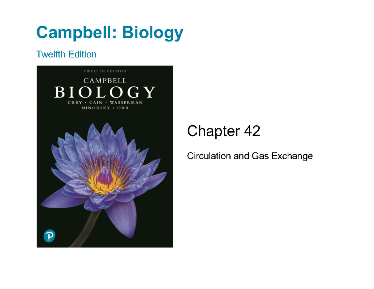 Chapter 42: Circulation and Gas Exchange - Biology (Campbell 12th Ed ...