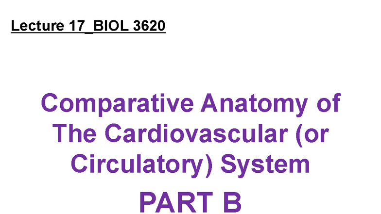 Comparative Anatomy of Cardiovascular Systems - BIOL 3620 Lecture 17 ...