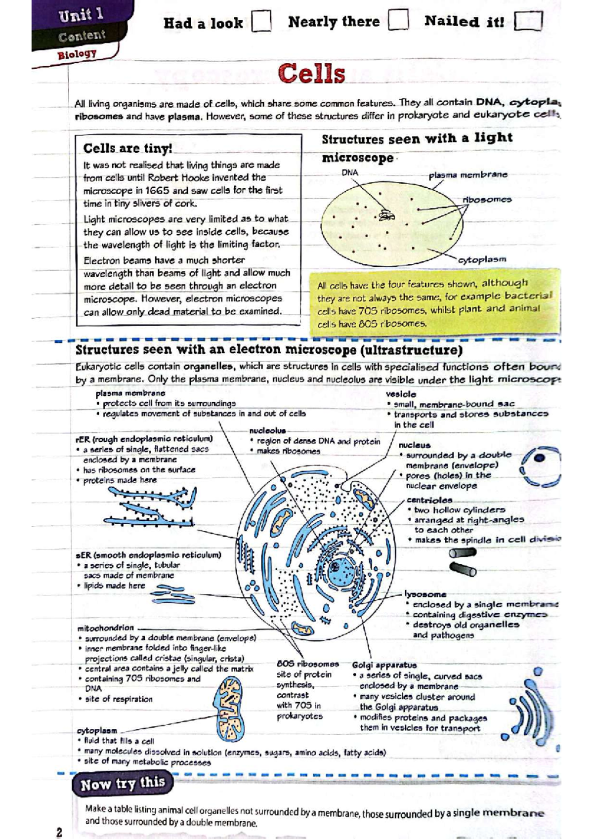 Biology Unit 1: Cell Structure and Function Overview - Studocu