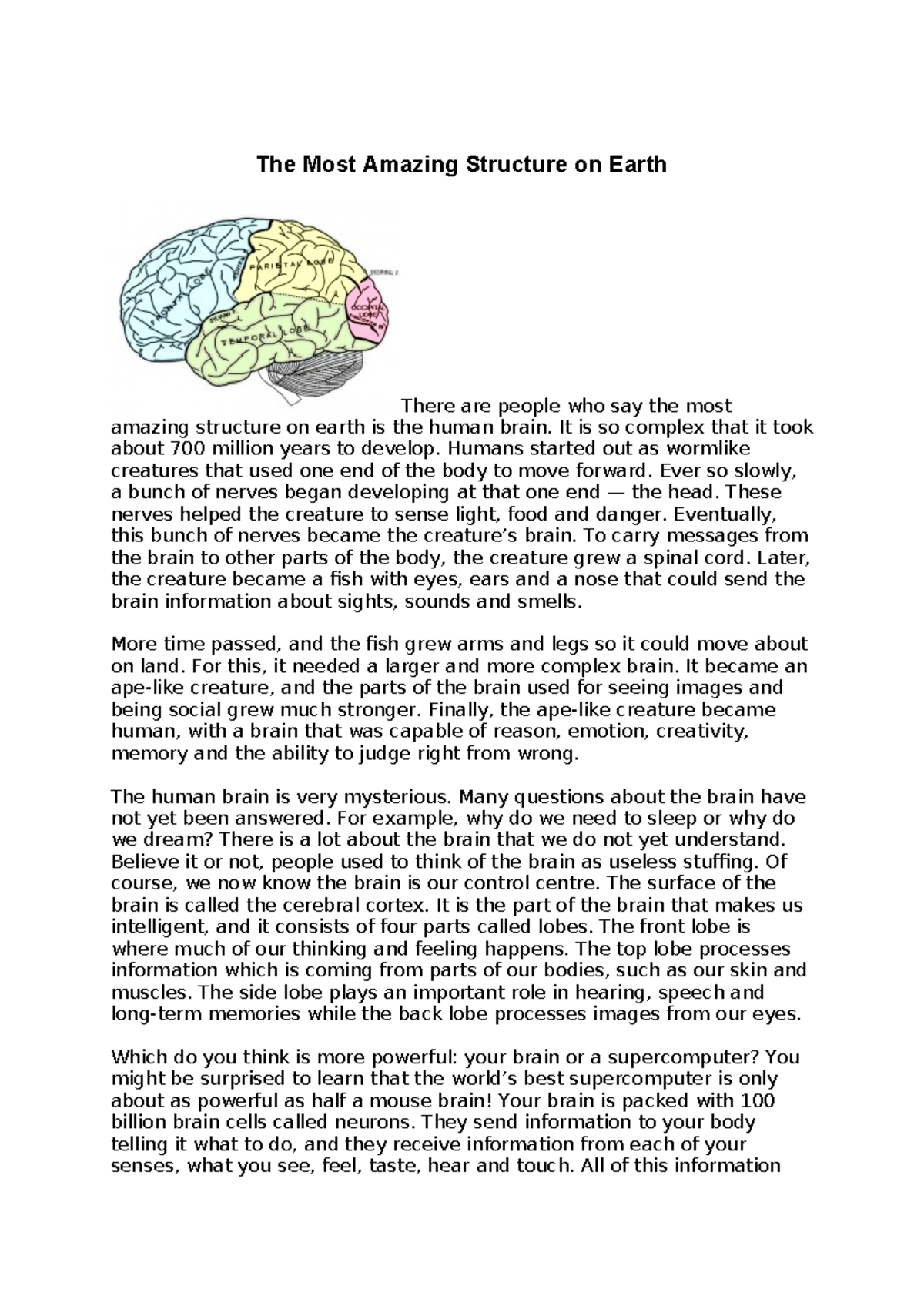 Reading Worksheet - Exploring the Complexity of the Human Brain ...