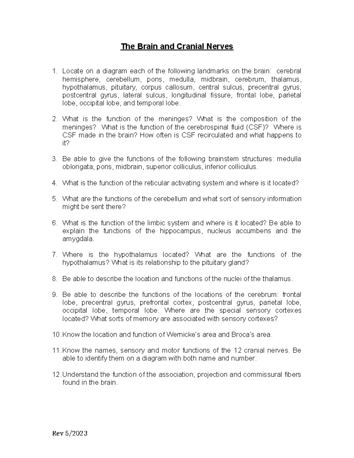 Neuroscience 101: Brain Anatomy & Functions Study Guide - Studocu