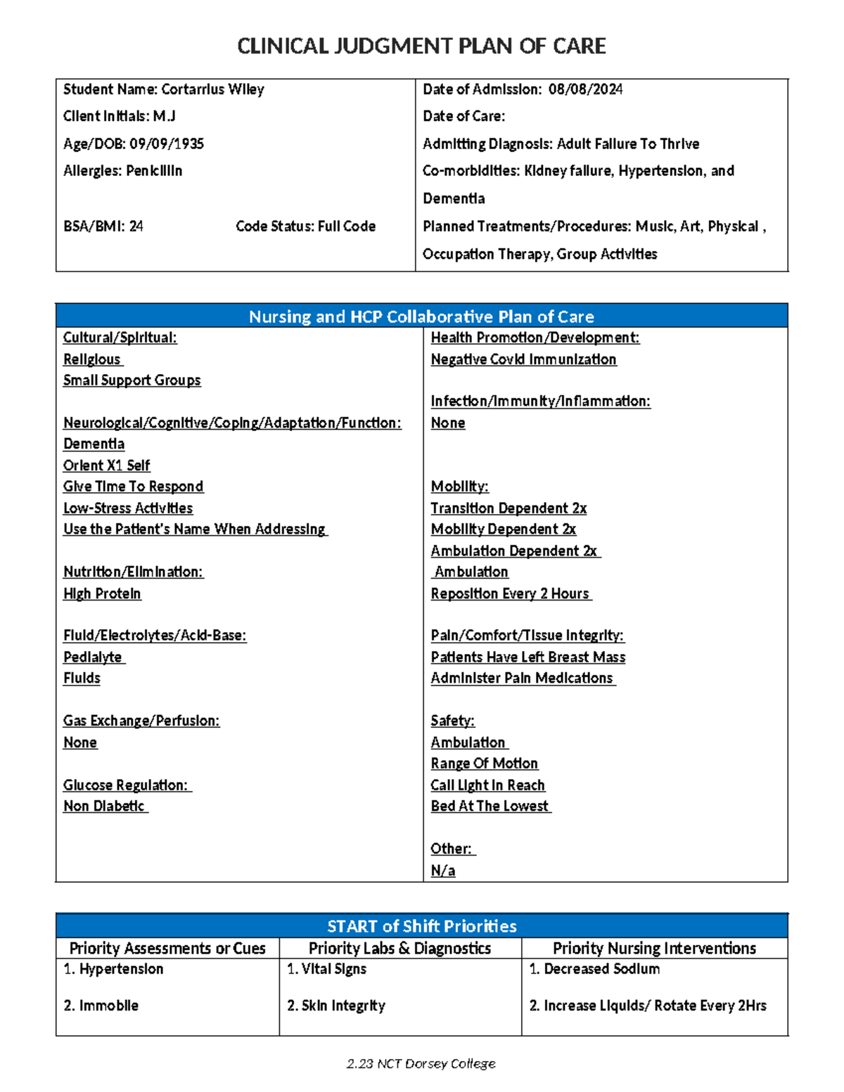 Clinical Judgement Plan of Care - CLINICAL JUDGMENT PLAN OF CARE ...