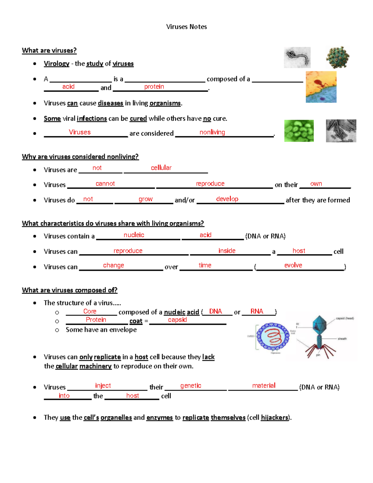 Virology Notes: Understanding Viruses, Their Structure & Life Cycles ...