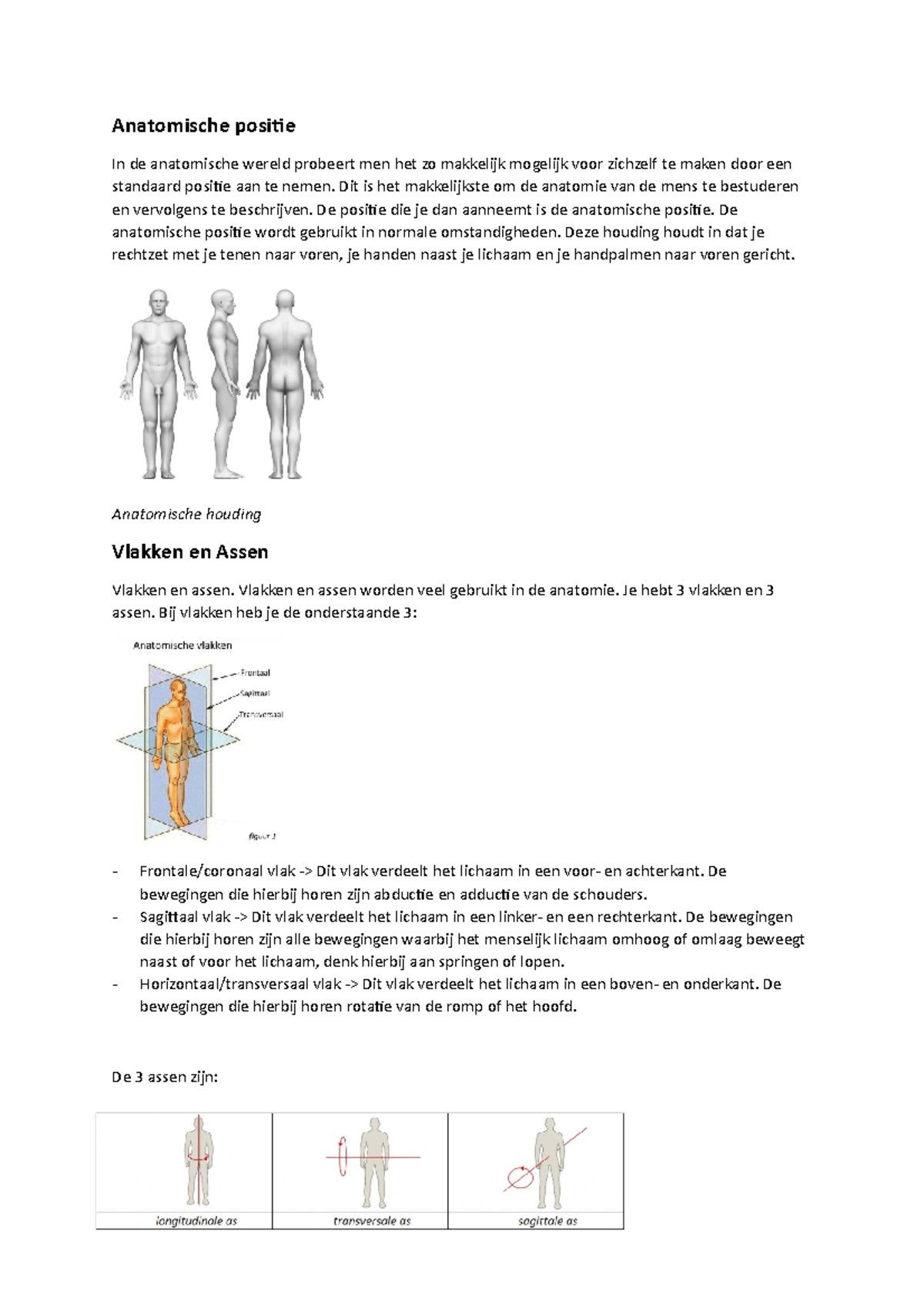 Anatomische Houding, Vlakken & Assen in Anatomie: Basisconcepten ...