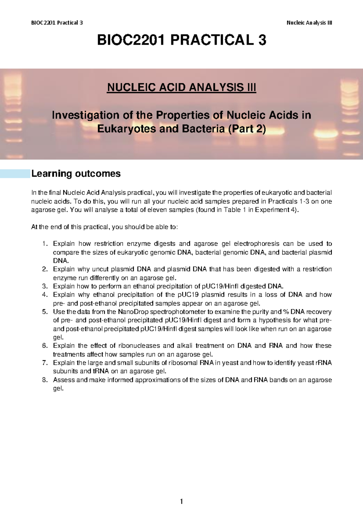 Lab 3 - Lab practical notes - BIOC2201 PRACTICAL 3 NUCLEIC ACID ...