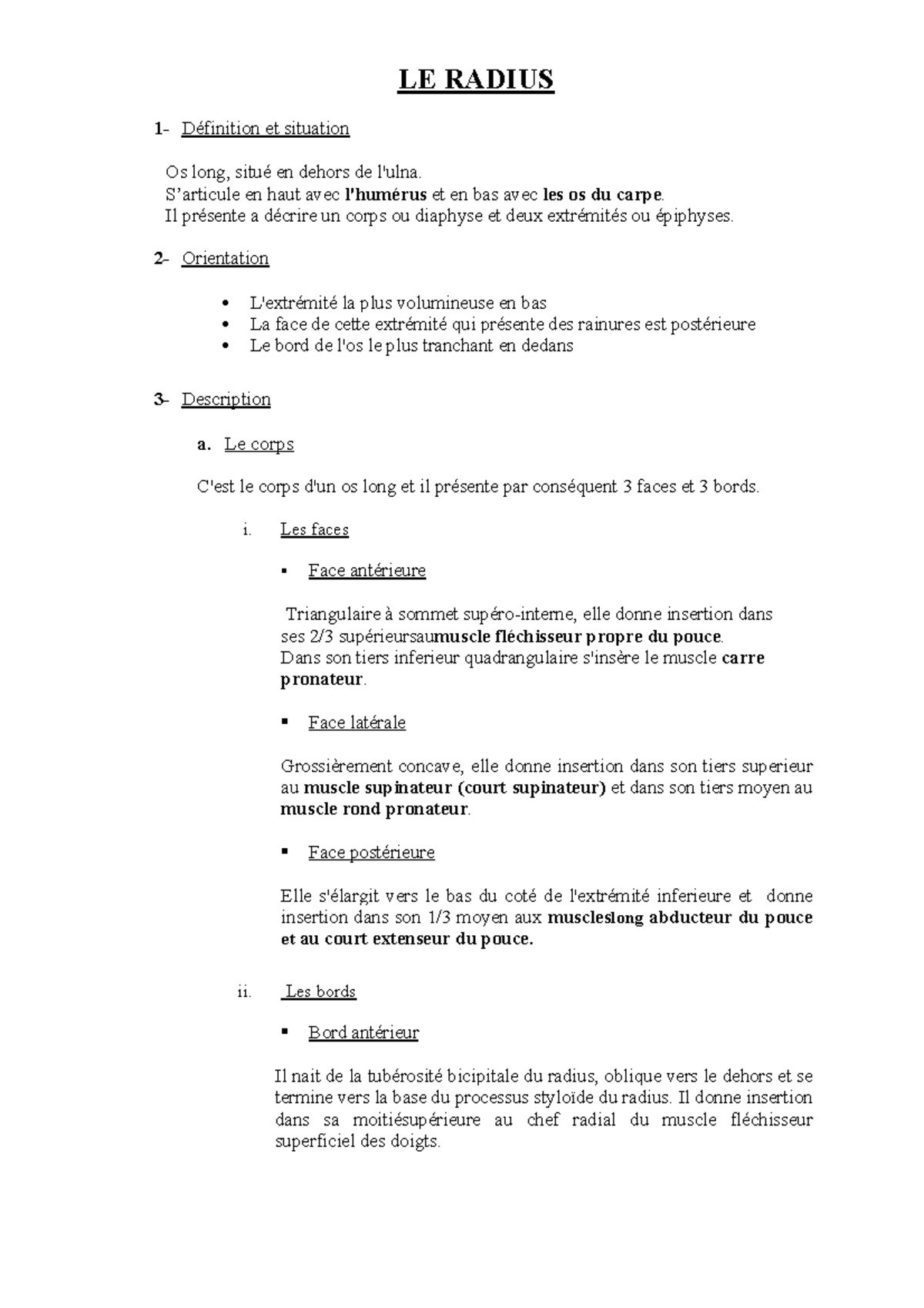 LE- Note complète sur le Radius - Anatomie et description - Studocu