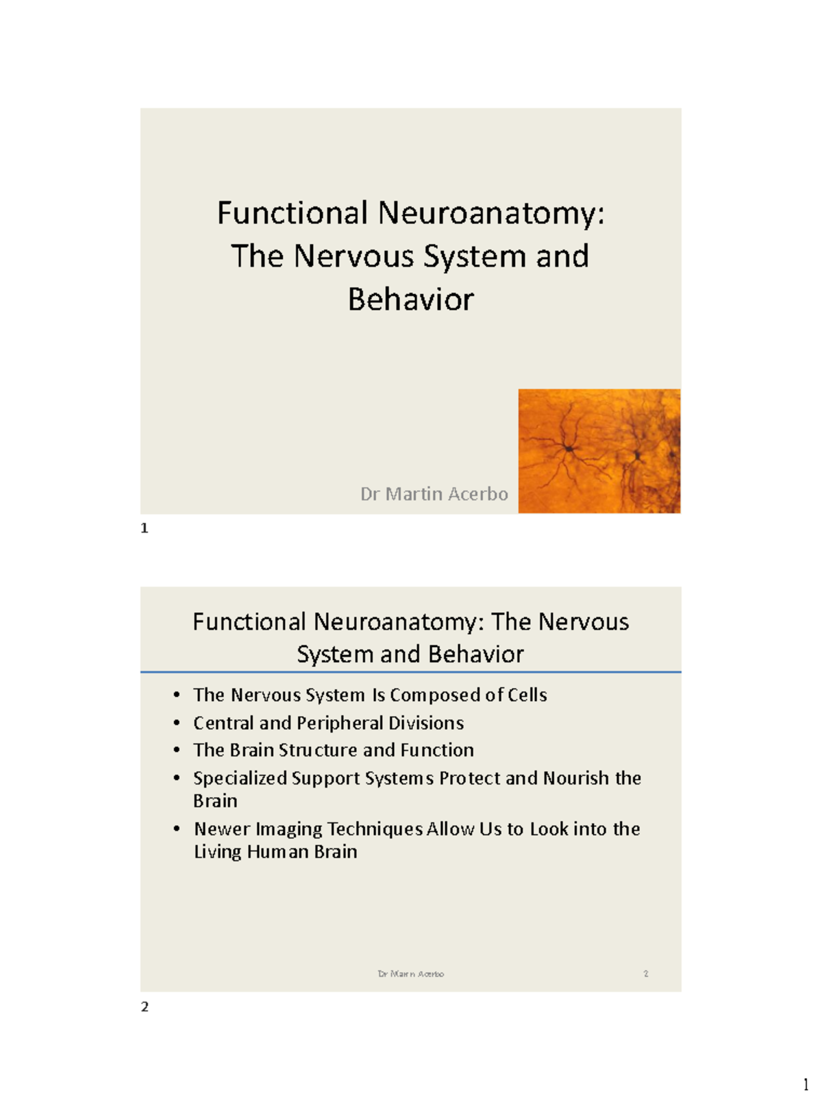 Functional Neuroanatomy of the Nervous System - Lecture Notes - Studocu