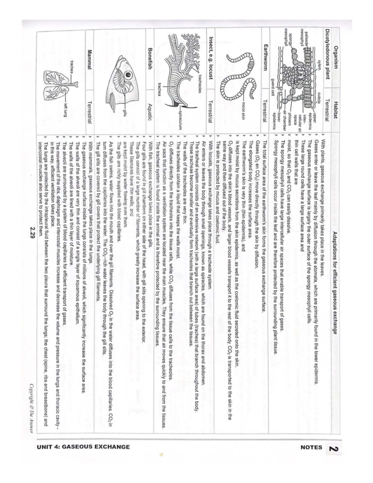 Gaseous Exchange Adaptations in Organisms: A Study of Terrestrial ...