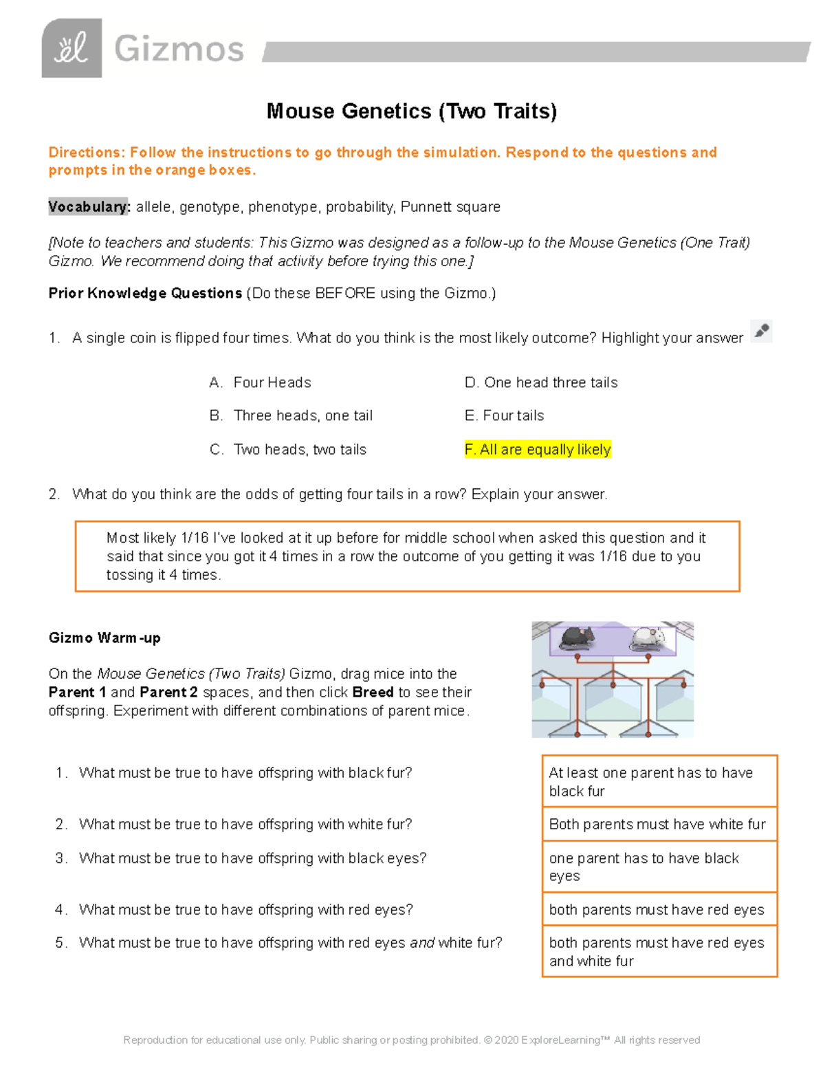 Mouse Genetics (Two Traits) Simulation & Analysis Guide - Studocu