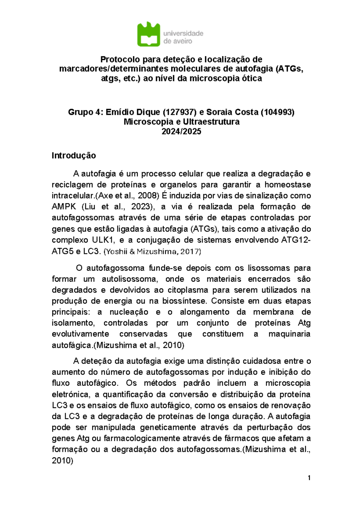MU Protocolo Prático para Deteção de Autofagia em Microscopia Óptica ...