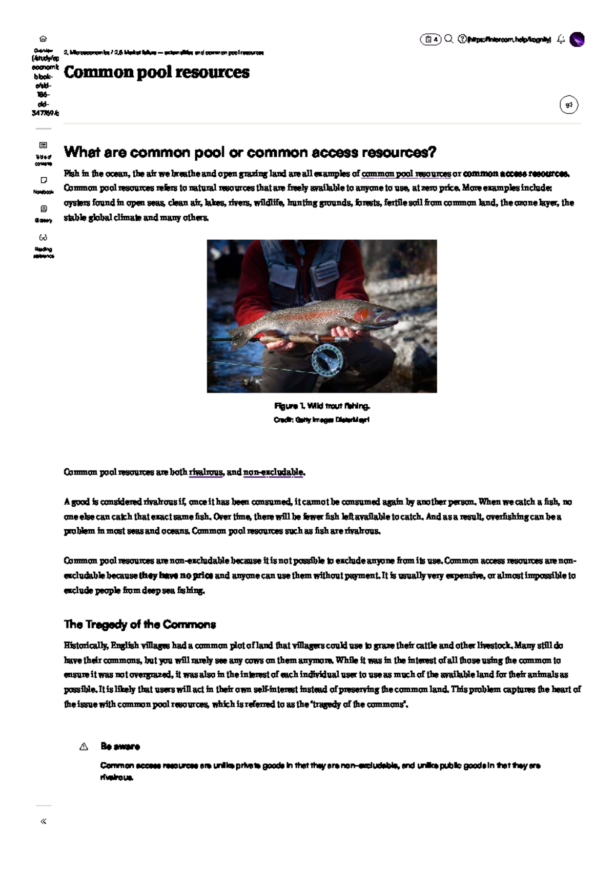 Common Pool Resources in IB DP Economics HL: Market Failures ...