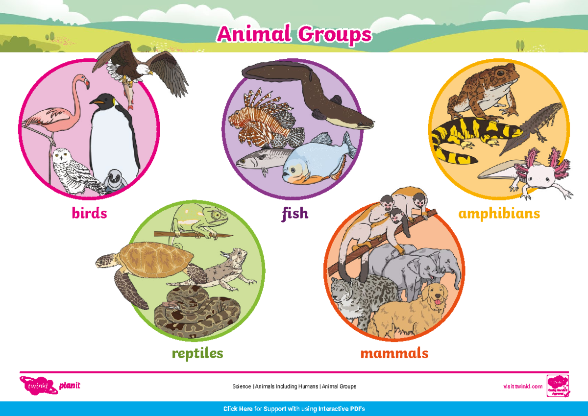 Animal Groups Interactive PDF - Animal GroupsAnimal Groups Science ...