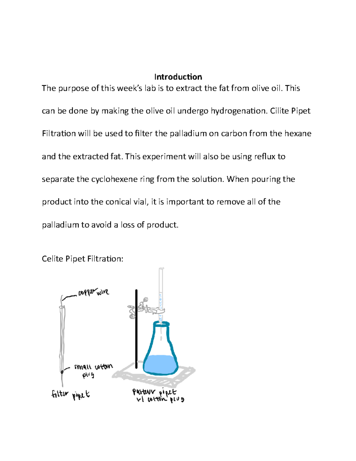 Experiment 7 - Fat Extraction via Hydrogenation Lab (CHEM 101) - Studocu