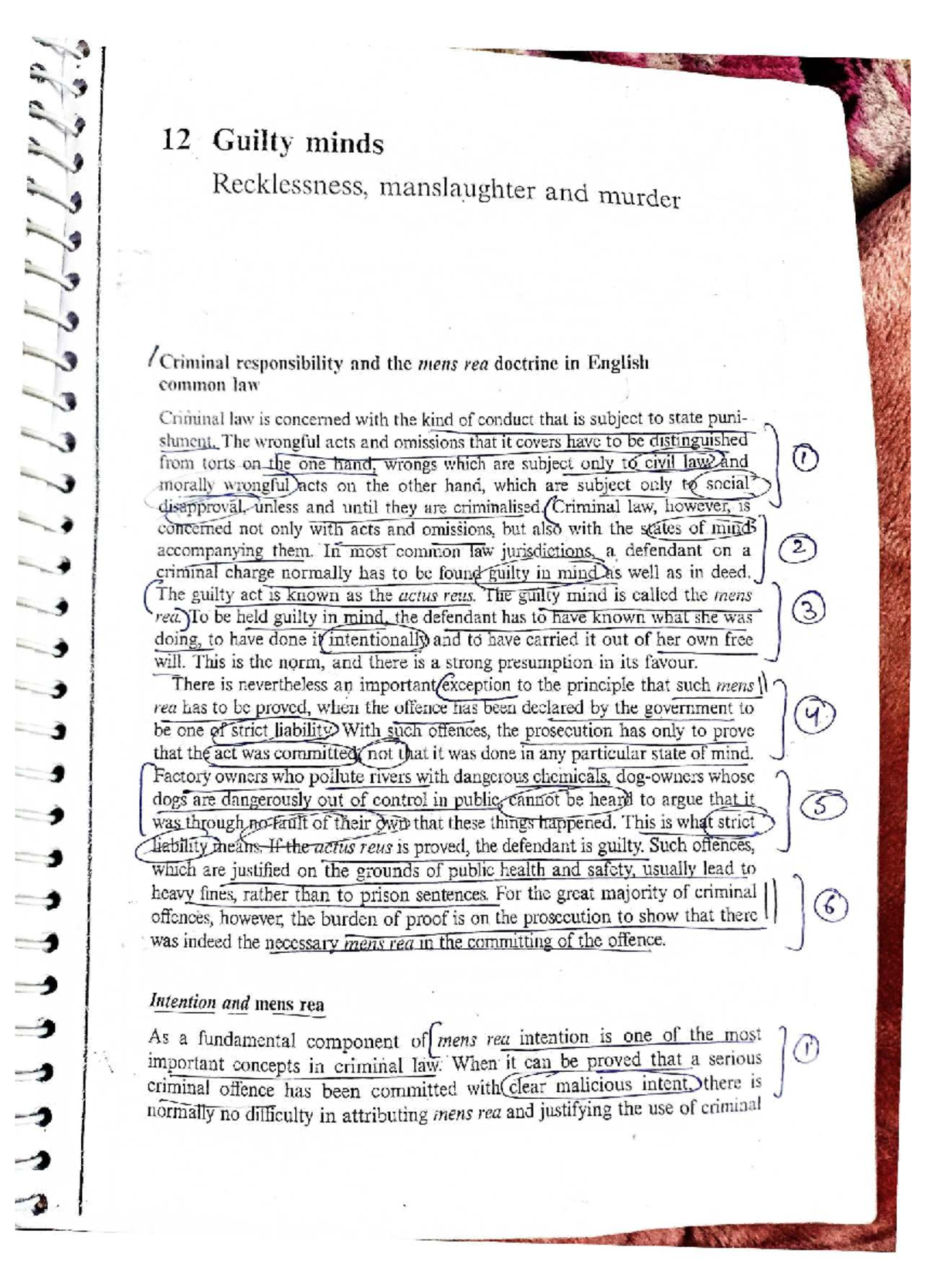 Guilty Minds: Recklessness, Manslaughter, and Murder in Criminal Law (J ...