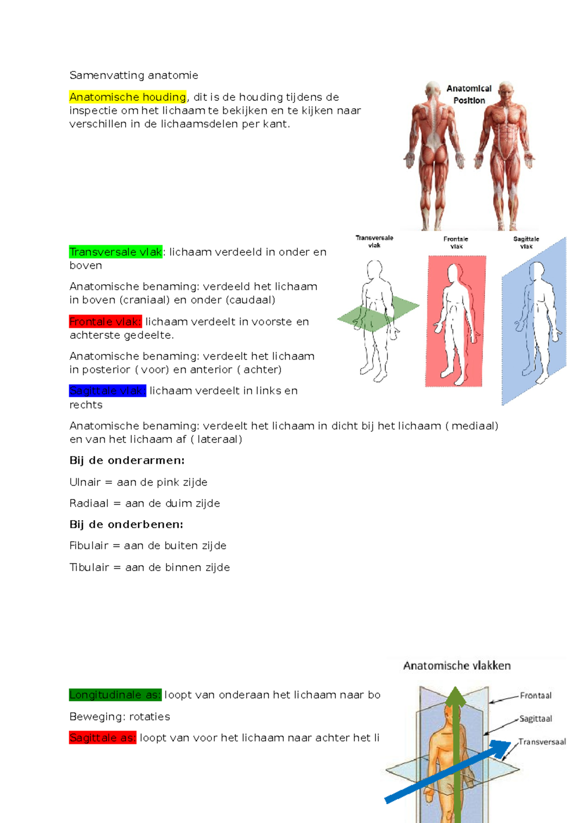 Samenvatting Anatomie: Anatomische Houdingen en Bewegingen - Studeersnel