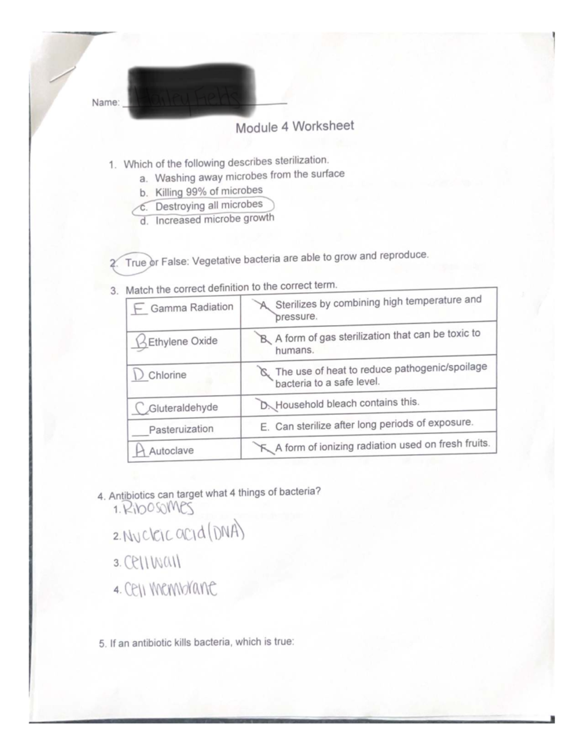 Module 4 Worksheet 1: Understanding Sterilization and Antibiotics - Studocu