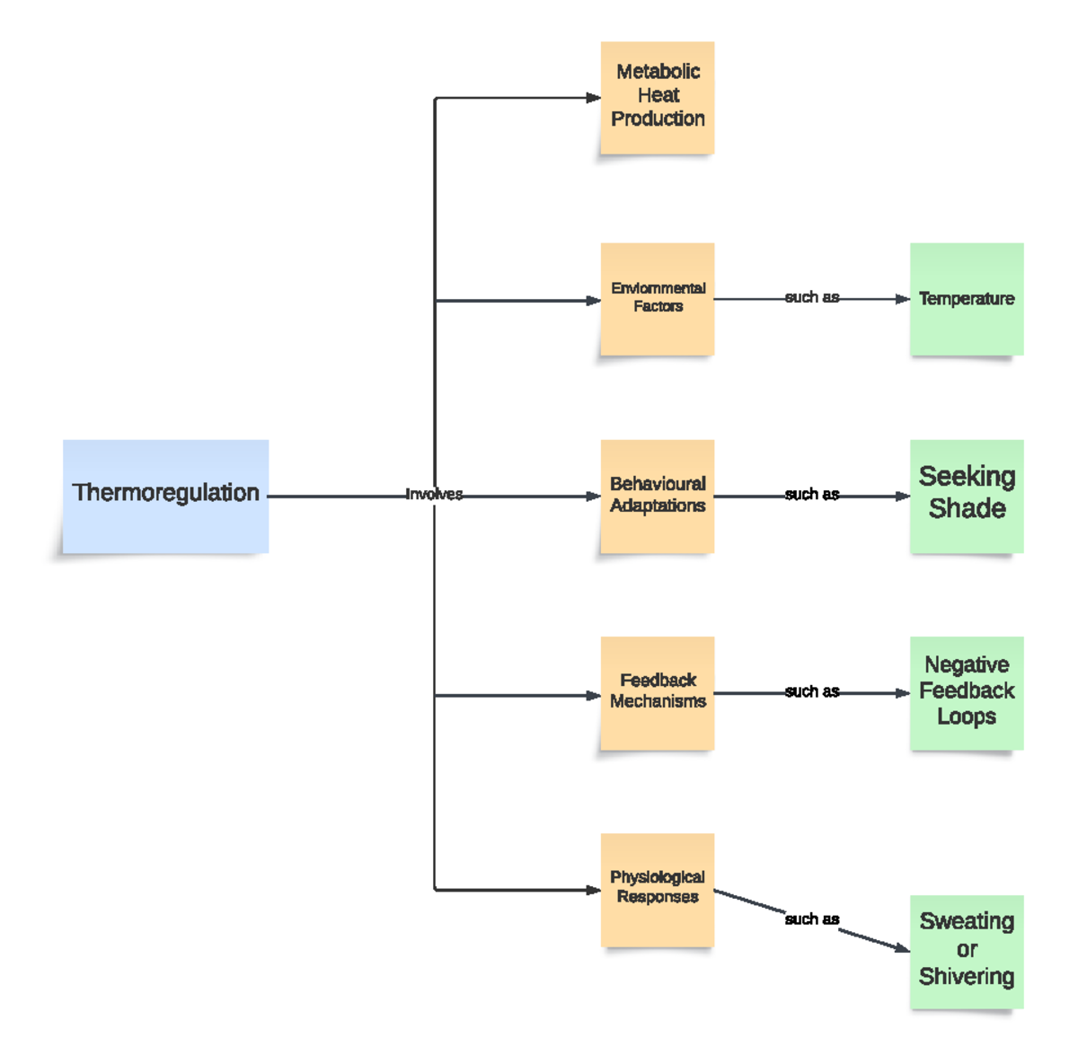 BIOL 1070 Concept Map - Map - 1070 - Thermoregulation Involves ...