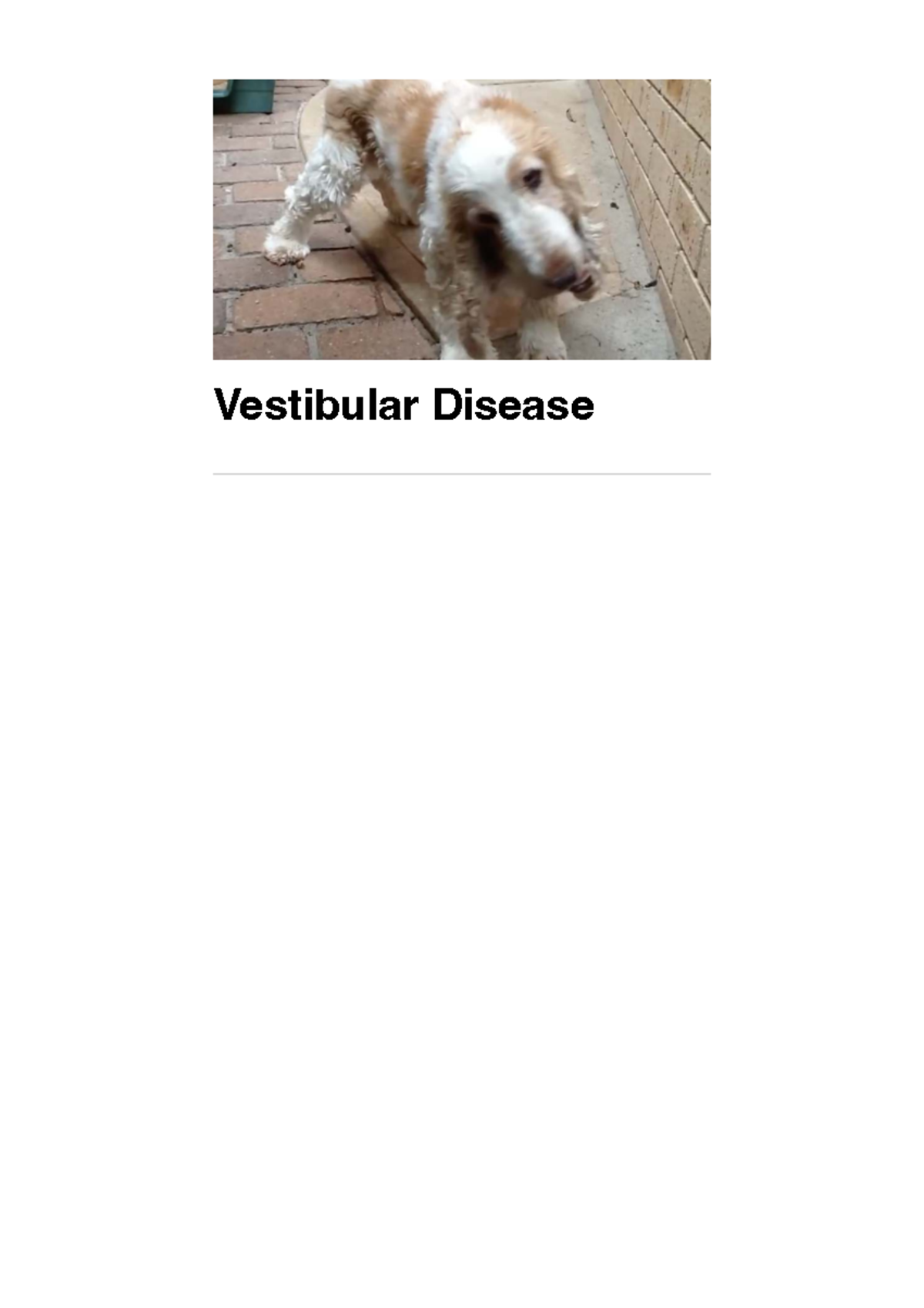 Vestibular Disease Neuroanatomy Review - Studocu