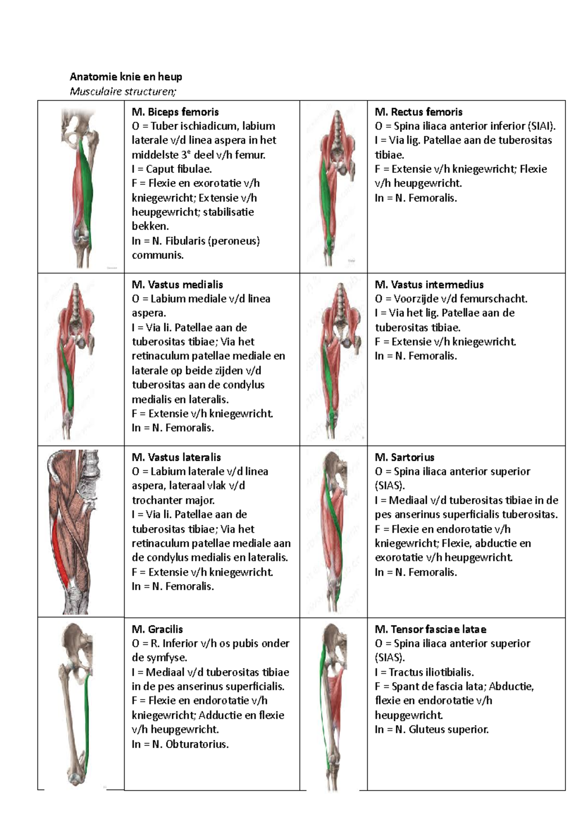 Blok 5 - Herhaling van Anatomie: Knie en Heup Musculatuur - Studeersnel