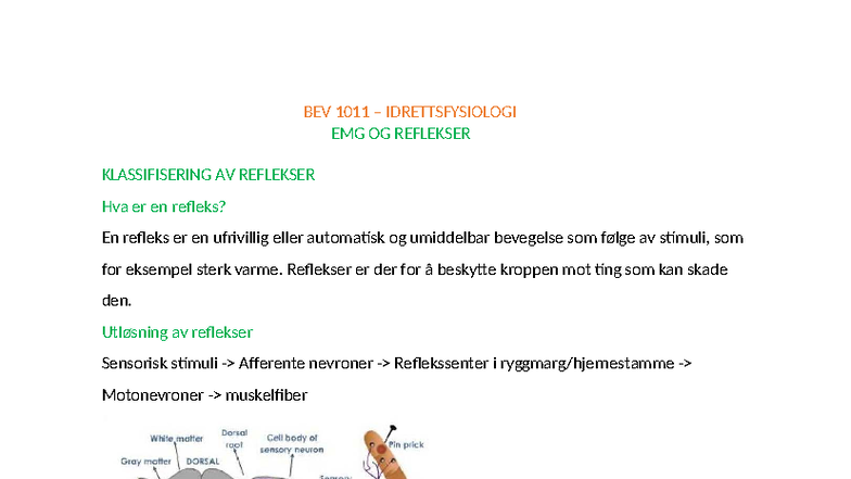 BEV 1011 EMG OG REFLEKSER: Klassifisering og Funksjon av Reflekser ...