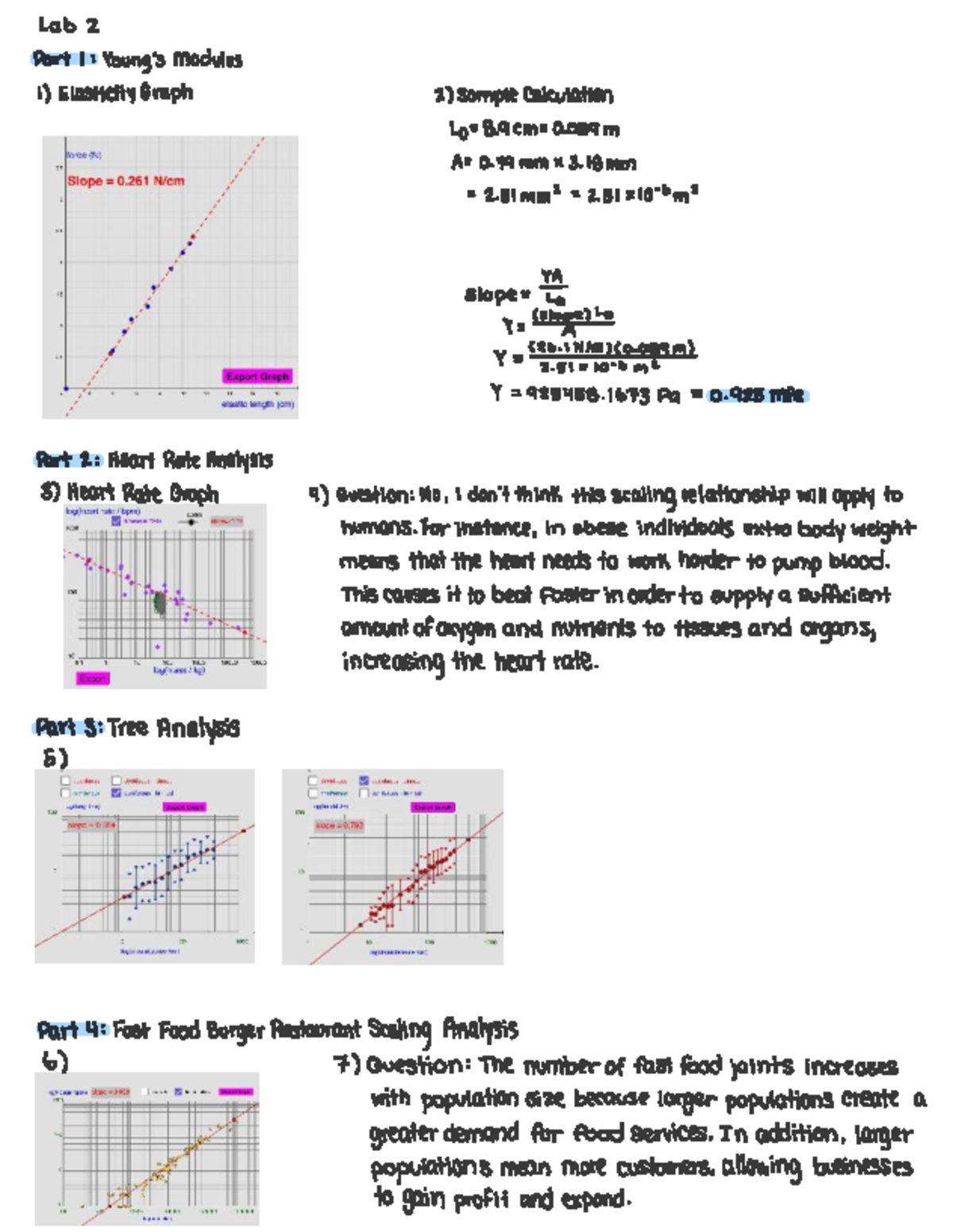 Lab 2: Elasticity, Heart Rate, and Scaling Analysis - Studocu