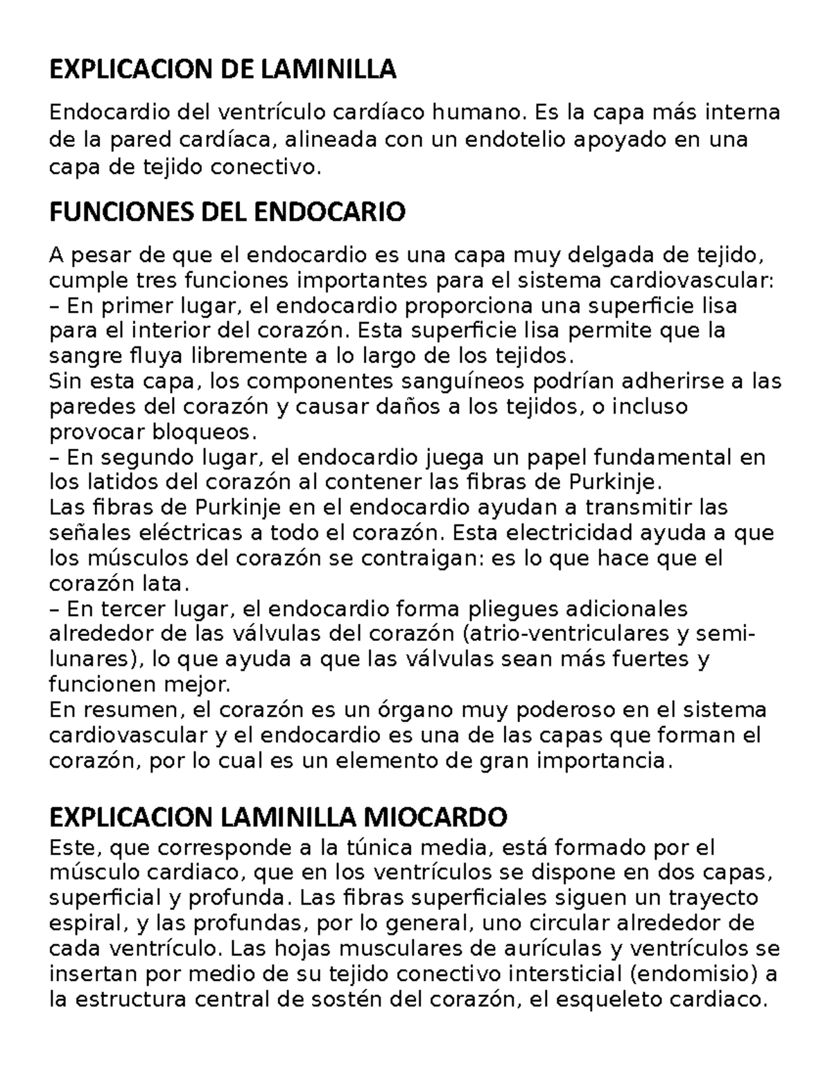 Explicacion DE Laminilla - EXPLICACION DE LAMINILLA Endocardio del ...