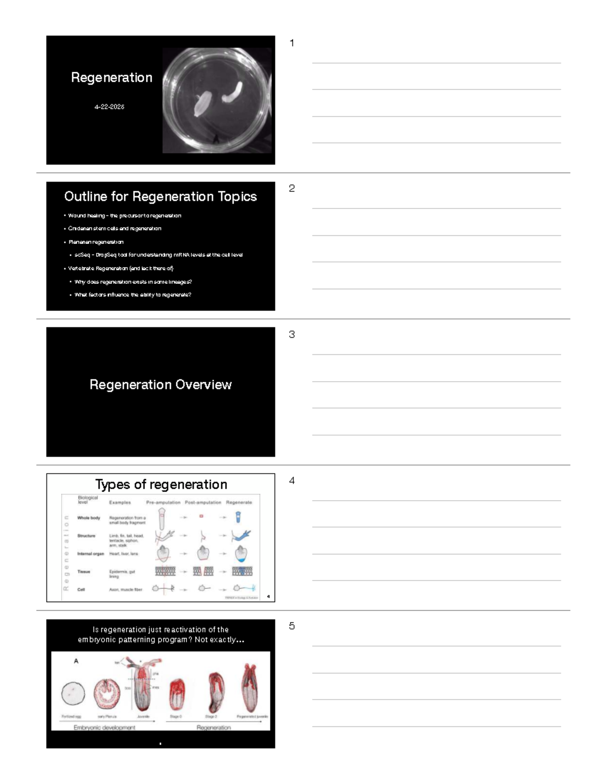 Regeneration - Parts I & II (Biology 101) Overview and Key Concepts - Studocu