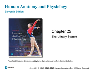 BIO 202 Lab: Urinary System Anatomy and Urinalysis Procedures - BIO 202 ...