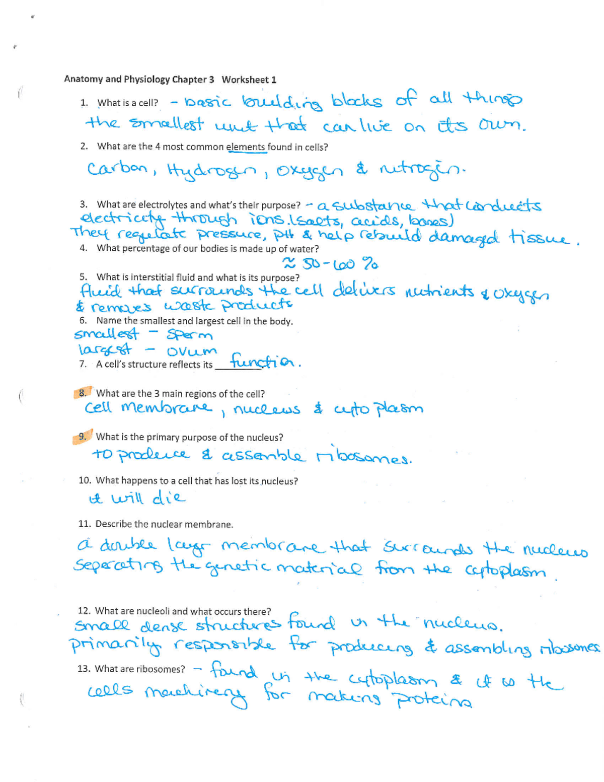 Anatomy And Physiology Chapter 3 Cells Worksheet Cells Tissues
