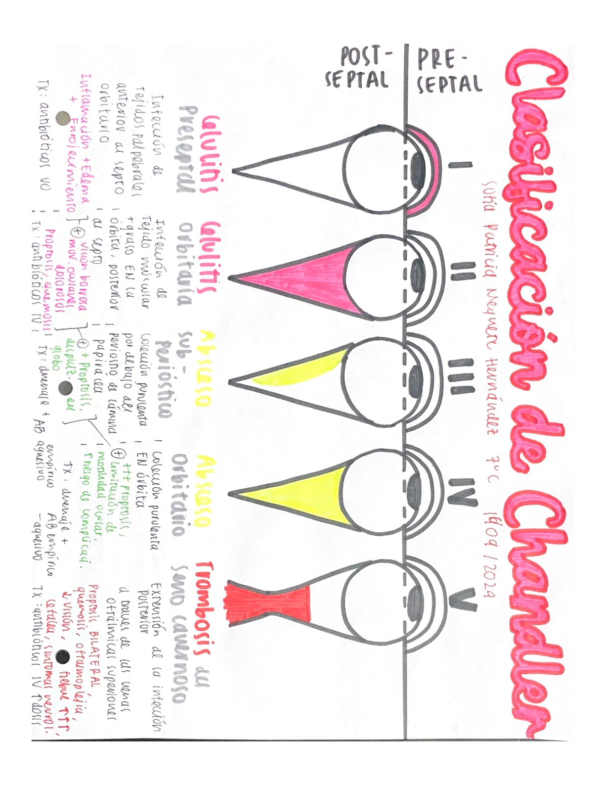 Clasificación de Chandler para Infecciones Orbitarias - 70C 1609 - Studocu