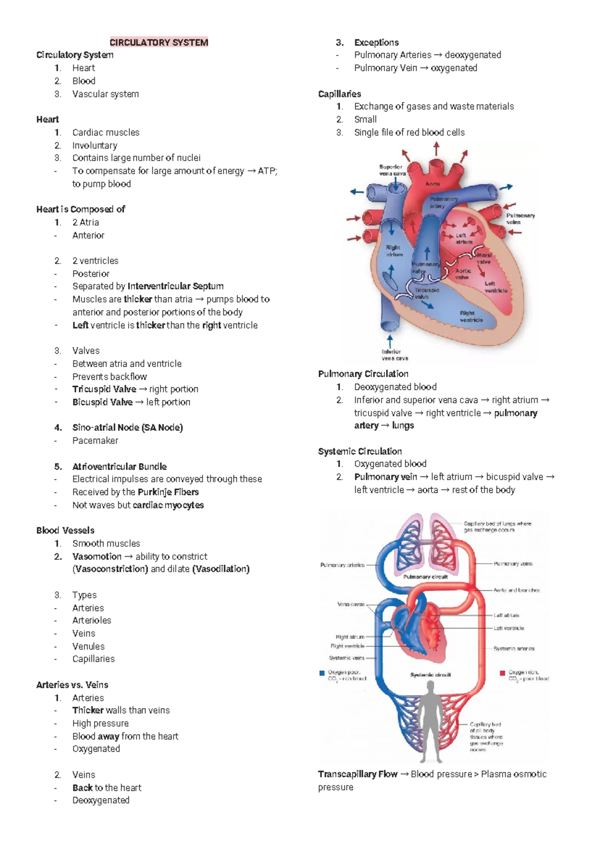 Biology NMAT Reviewer - Lecture notes 1-10 - CIRCULATORY SYSTEM ...