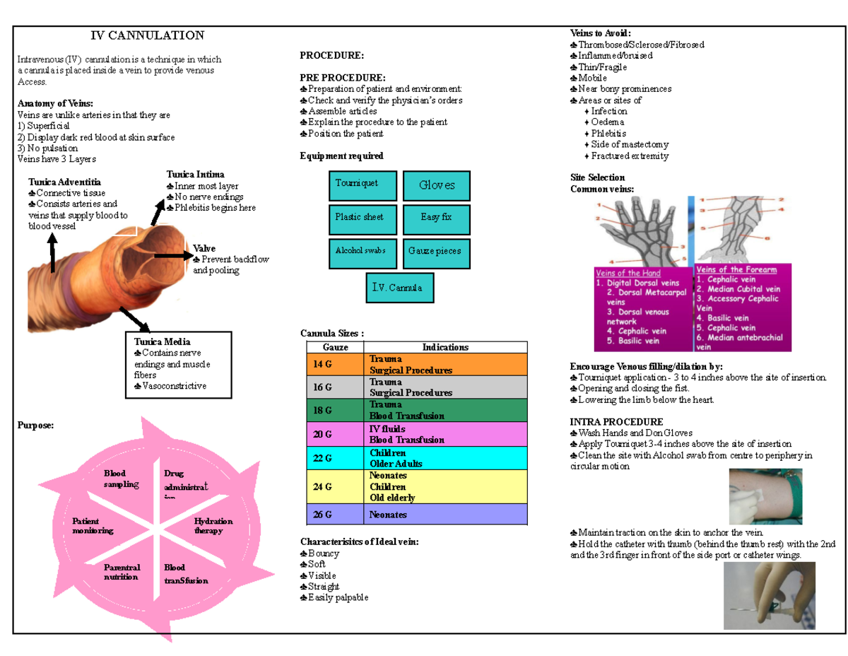 IV Cannulation Lecture Notes: Key Procedures & Complications - Studocu