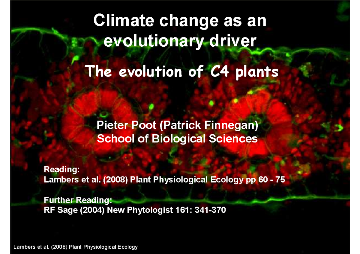 Photosynthesis and Climate Change: Impacts on C3 and C4 Plants ...