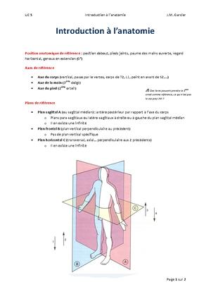 Anatomie cours complet - ANATOMIE BIBLIOGRAPHIE → Bases d’anatomie ...