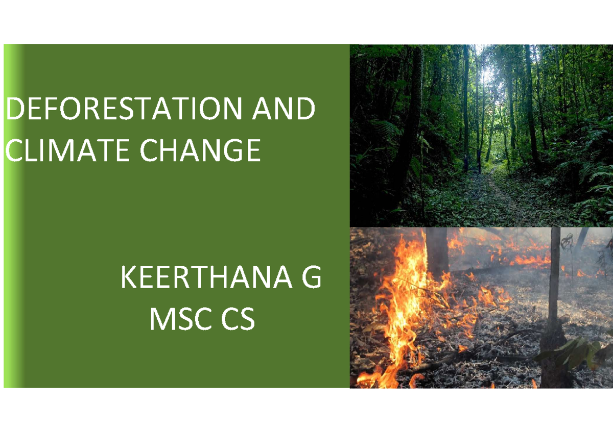 Deforestation and Climate Change: Insights from MSC CS Course Unit 3 ...