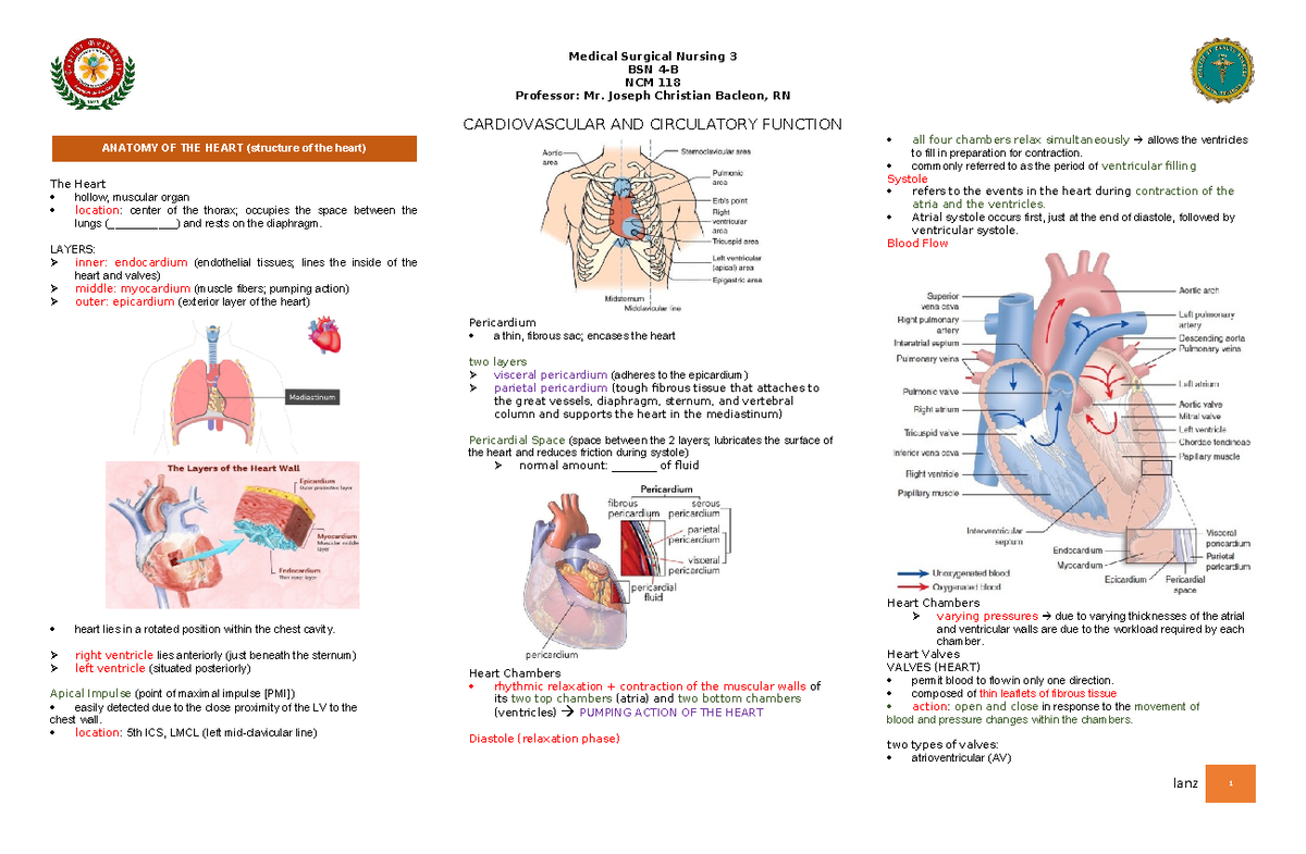 Cardiovascular and Circulatory Function - NCM 118 Lecture Notes - Studocu