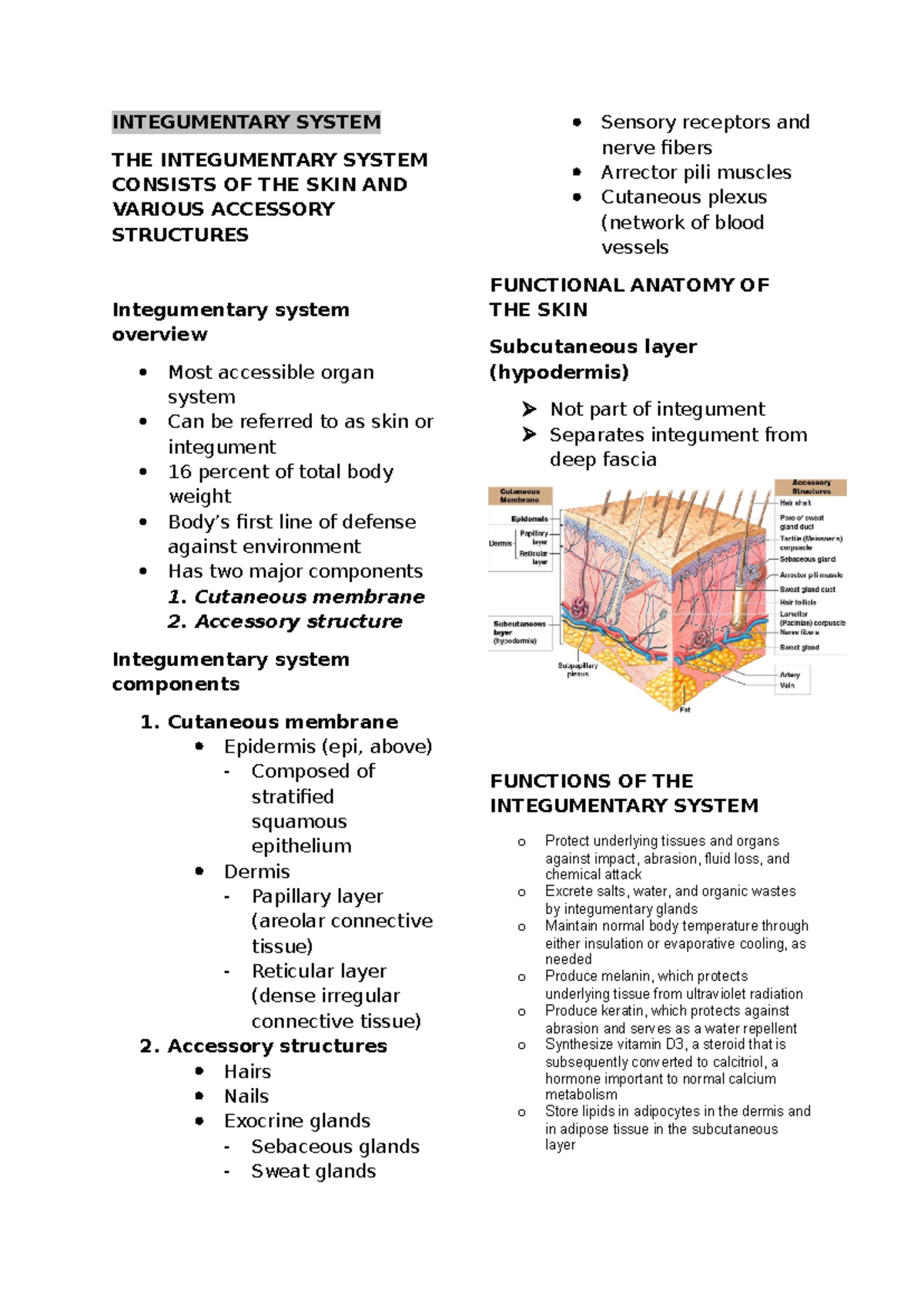 INTEGUMENTARY SYSTEM OVERVIEW: STRUCTURE & FUNCTIONS - Studocu